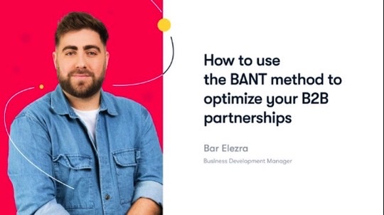 How to use the BANT method to optimize your B2B partnerships - ryze beyond